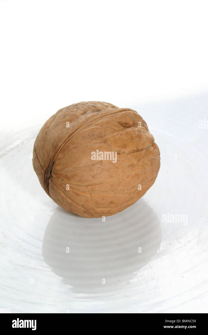 Very walnut hi-res stock photography and images - Alamy