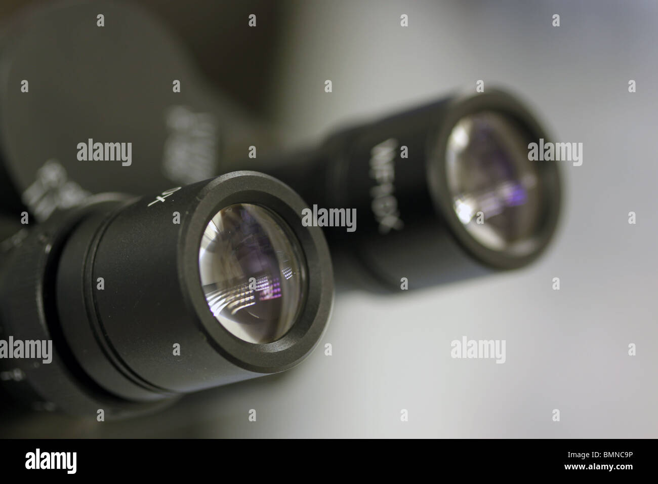 binocular microscope close up of eye piece Stock Photo - Alamy