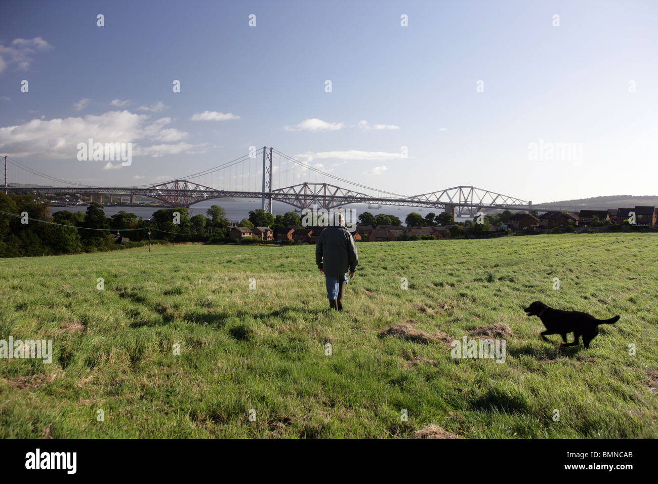 Dog walking towards bridge hi-res stock photography and images - Alamy