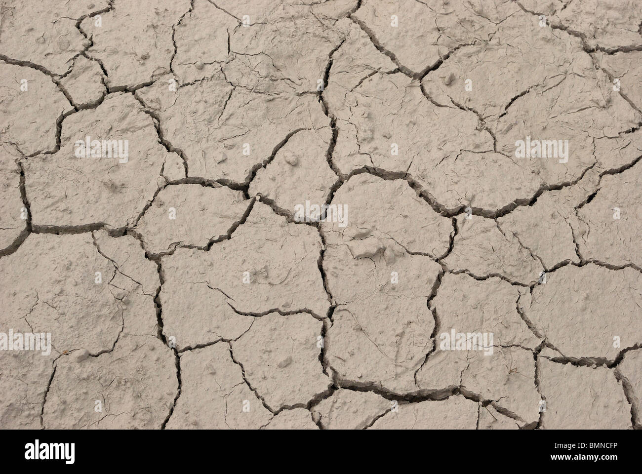 Dry baked cracked earth during drought Stock Photo - Alamy