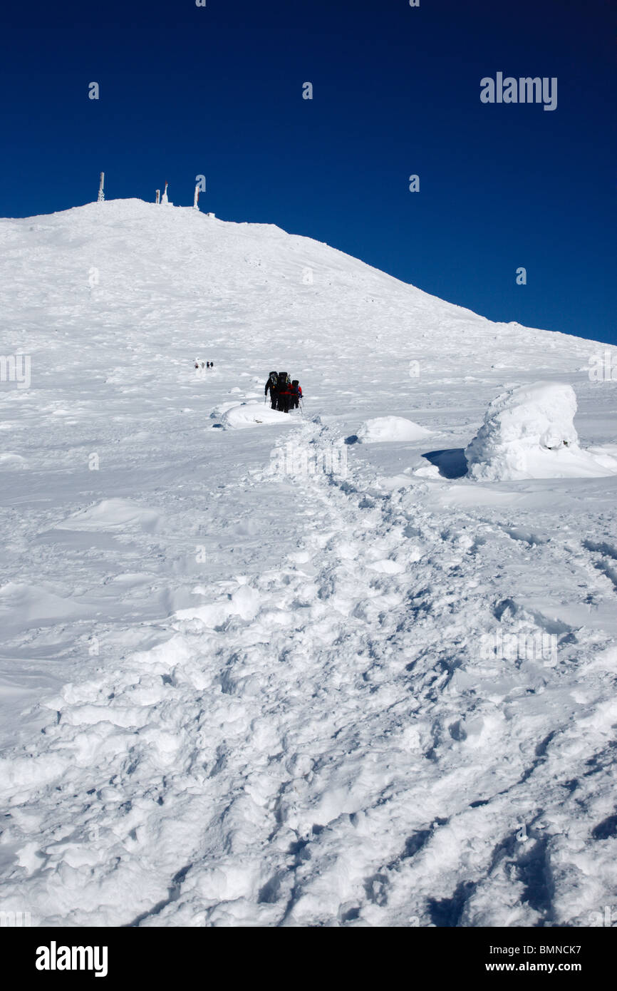 Appalachian Trail - Group of hikers use the Crawford Path to ascend ...