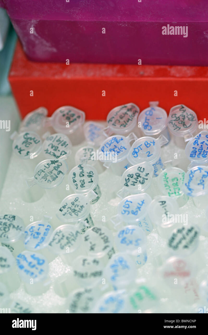 Microplate storage hi-res stock photography and images - Alamy