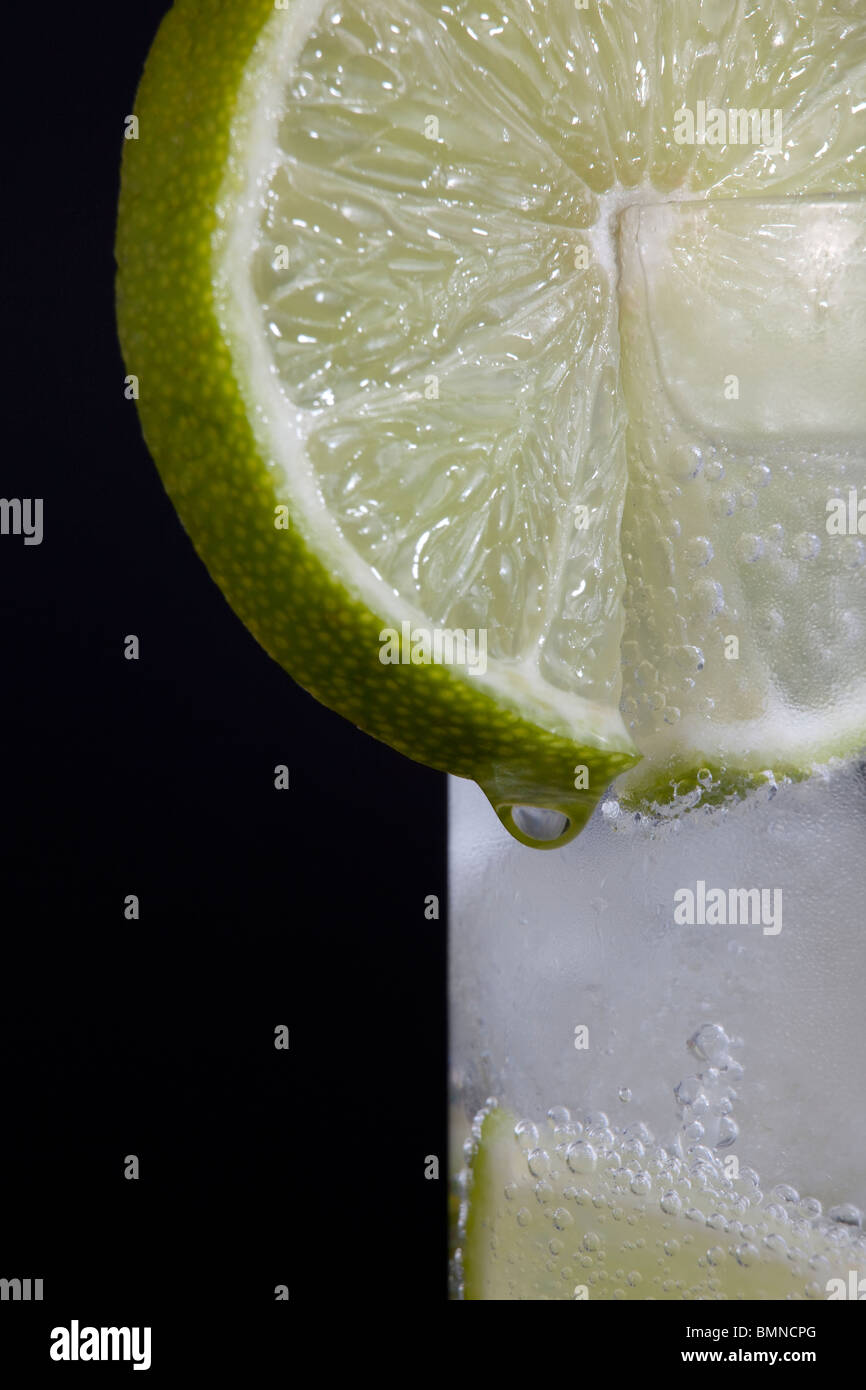 Lime slice on glass. Photo V.D Stock Photo - Alamy