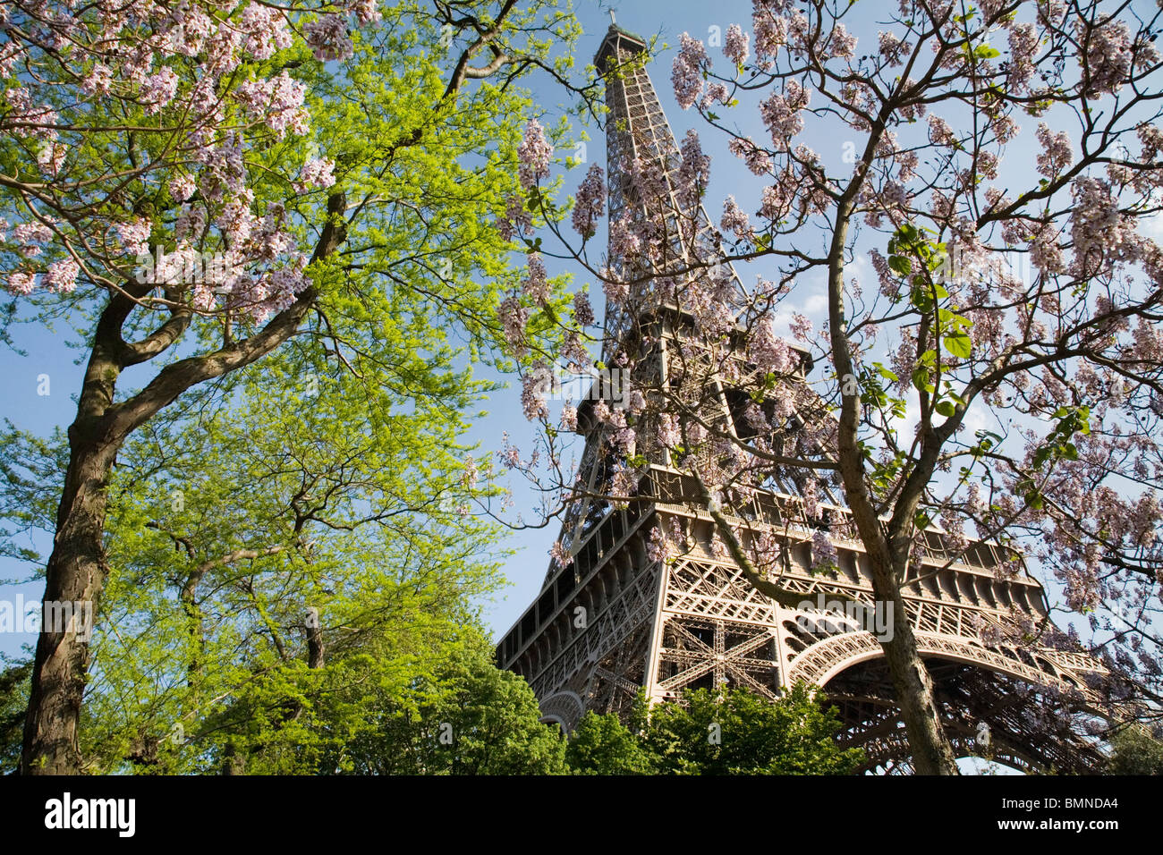The Eiffel Tower in spring, Paris Stock Photo - Alamy