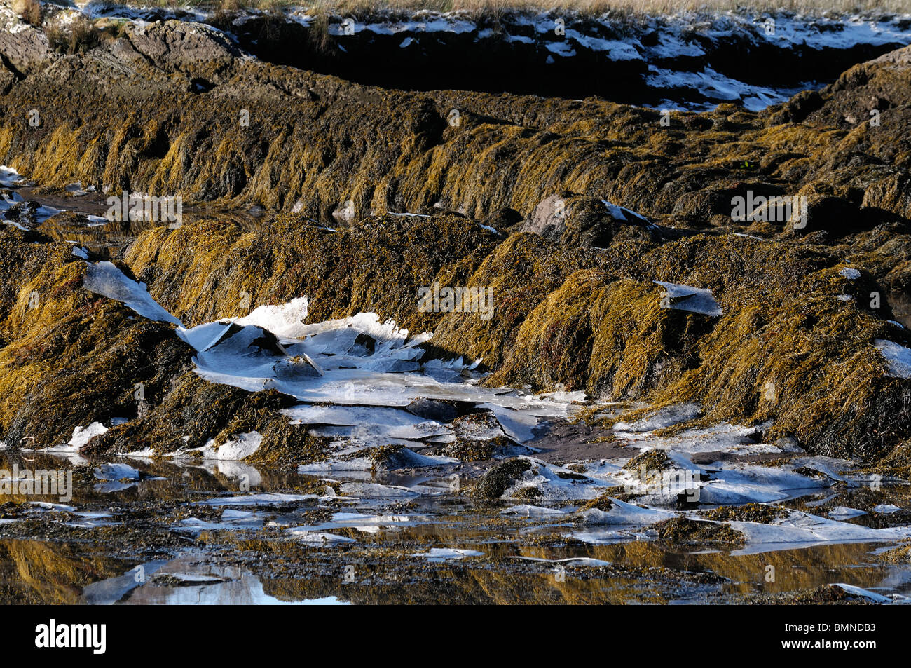 Roughty River High Resolution Stock Photography and Images - Alamy