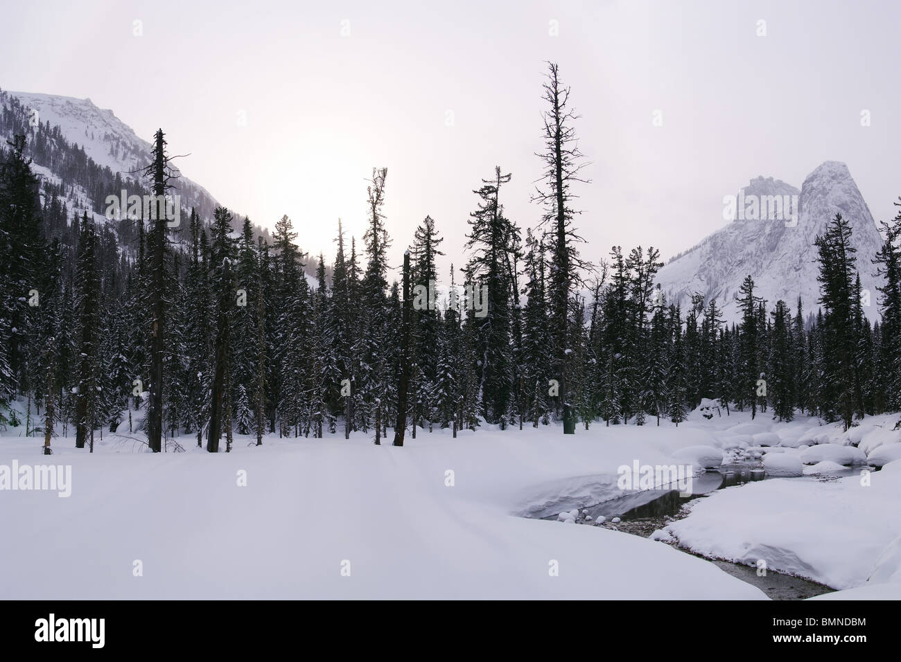 Sunset time Western Sayan Mountains. Siberia. Russia Stock Photo - Alamy