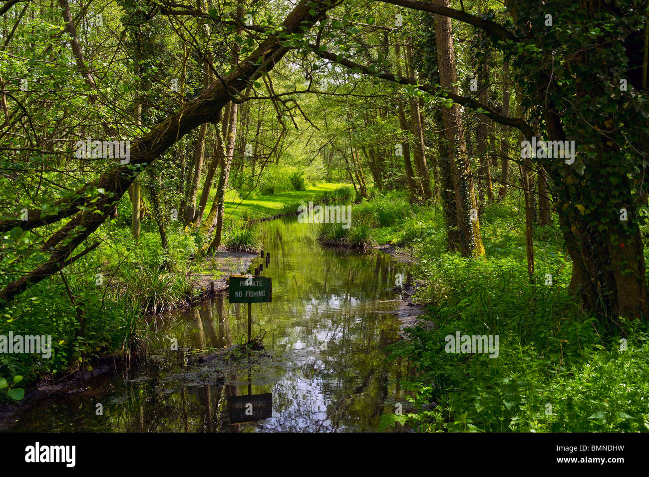 Perfect no fishing stream Stock Photo - Alamy