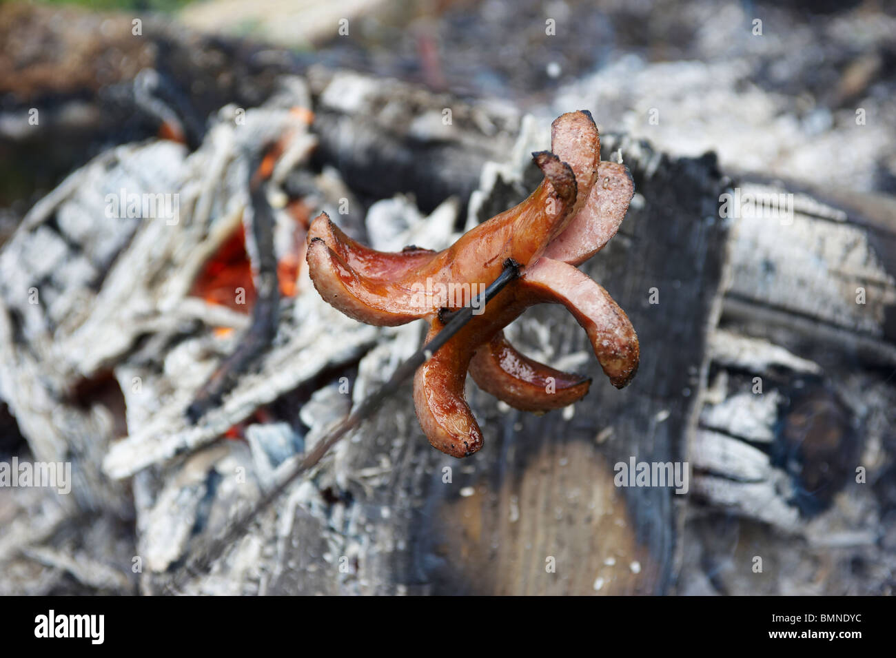 Roast sausage camp fire Stock Photo - Alamy
