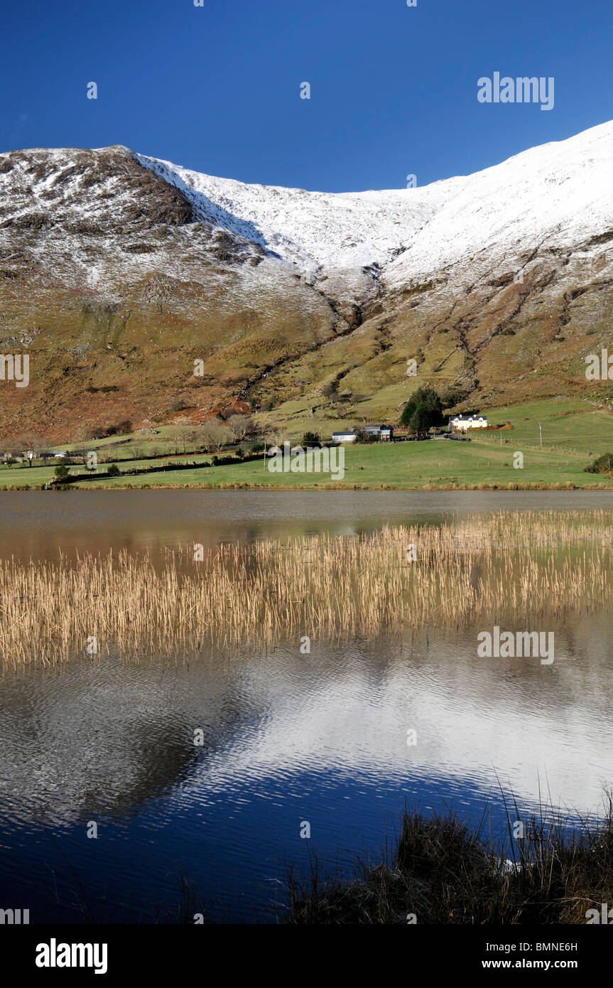 Lough lake brinn brin black hi-res stock photography and images - Alamy