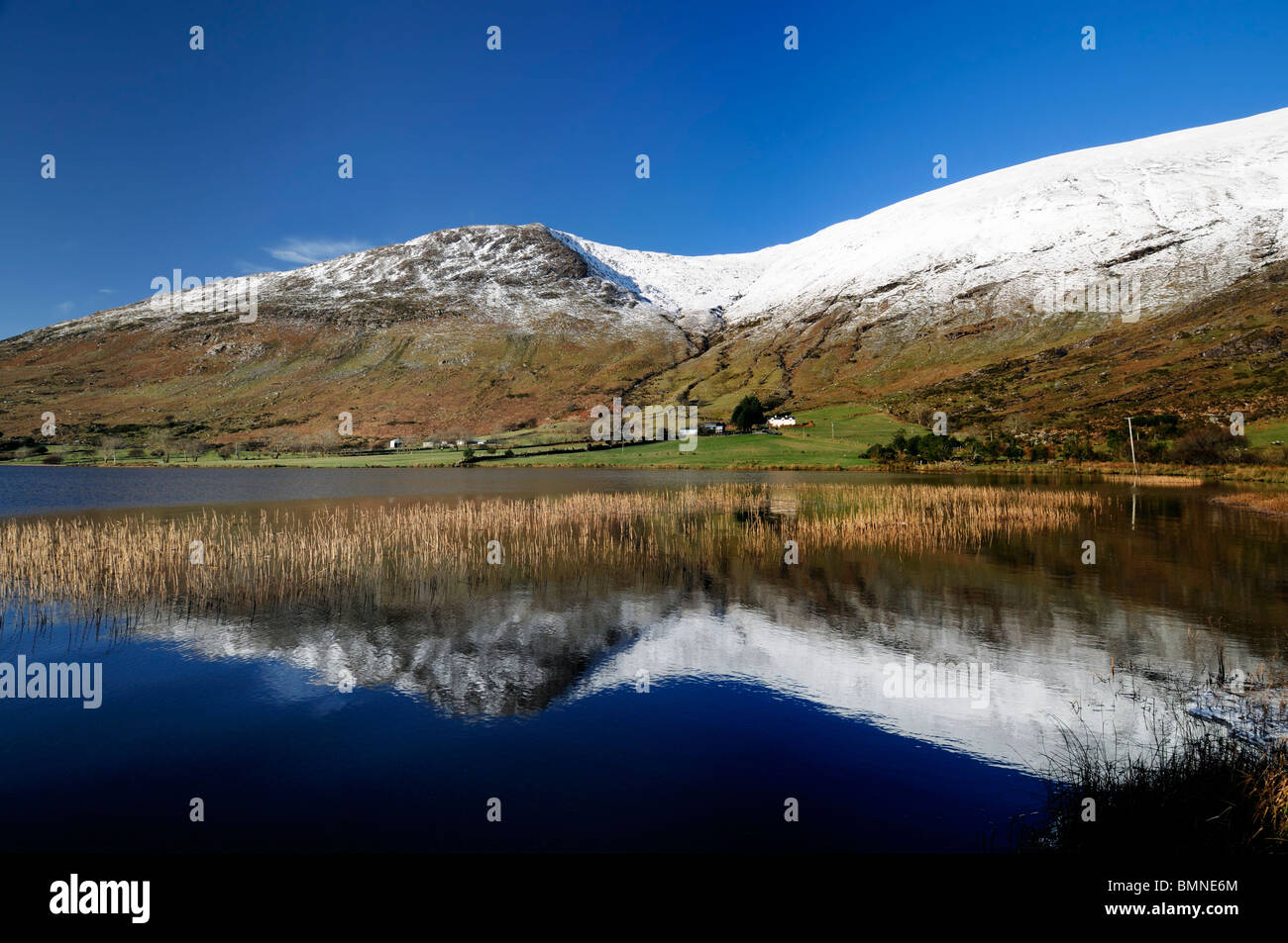 Lough lake brinn brin black valley killarney kerry snow cover covered ...