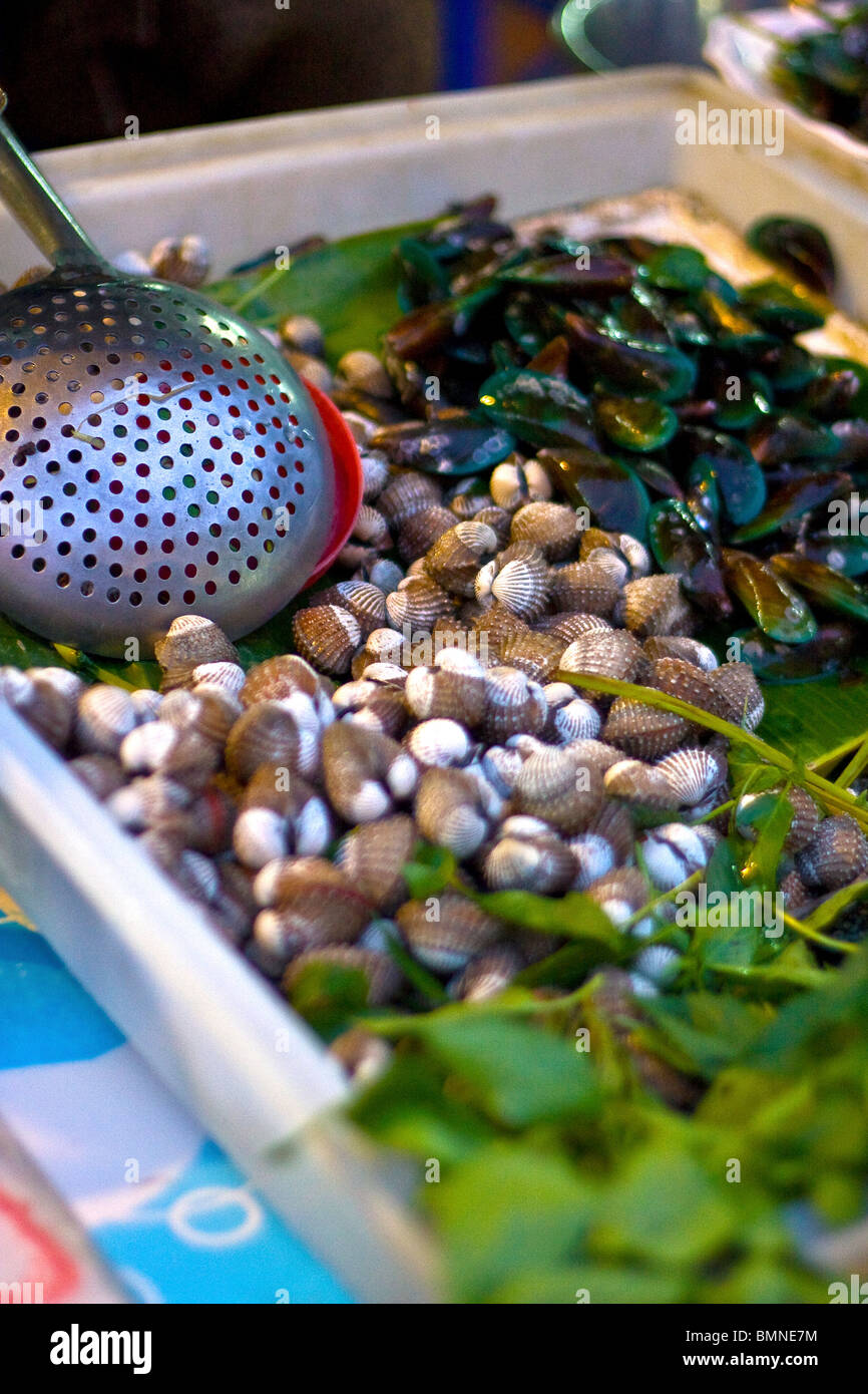 Small clams hi-res stock photography and images - Alamy