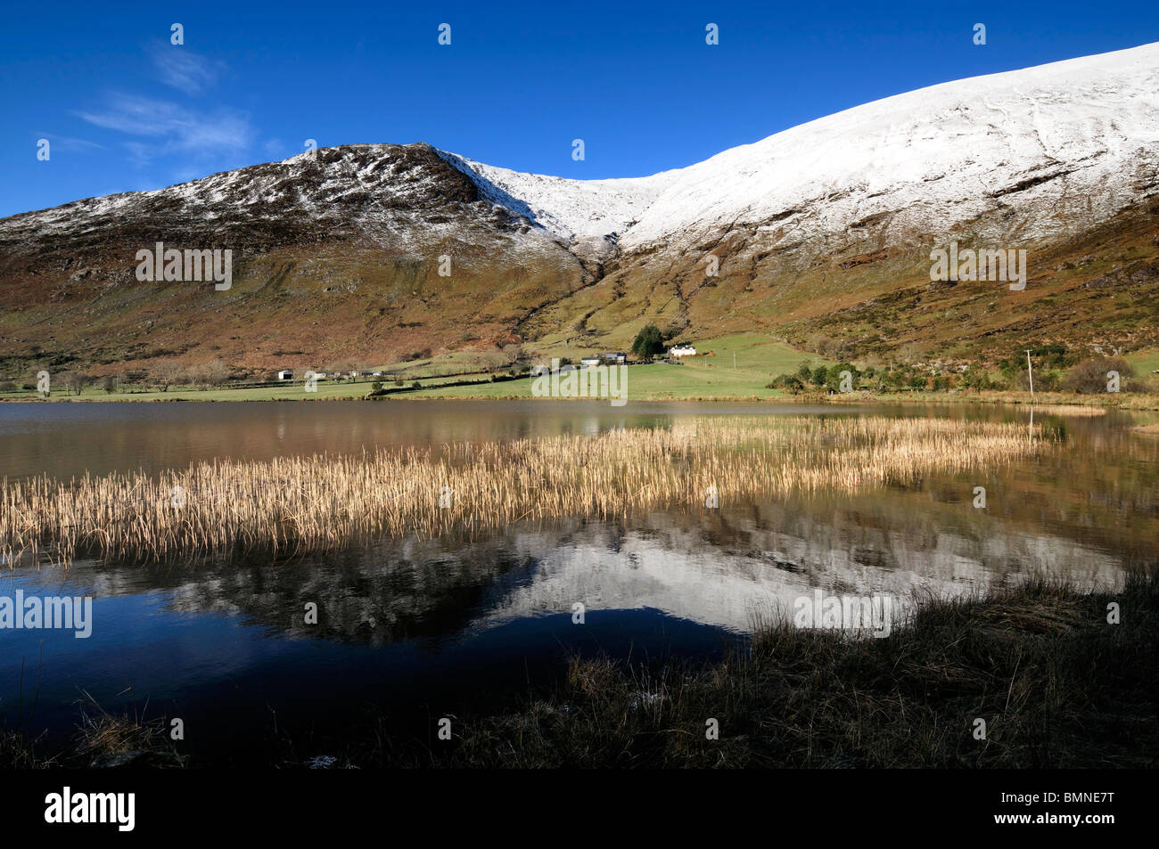 Lough lake brinn brin black valley killarney kerry snow cover covered ...