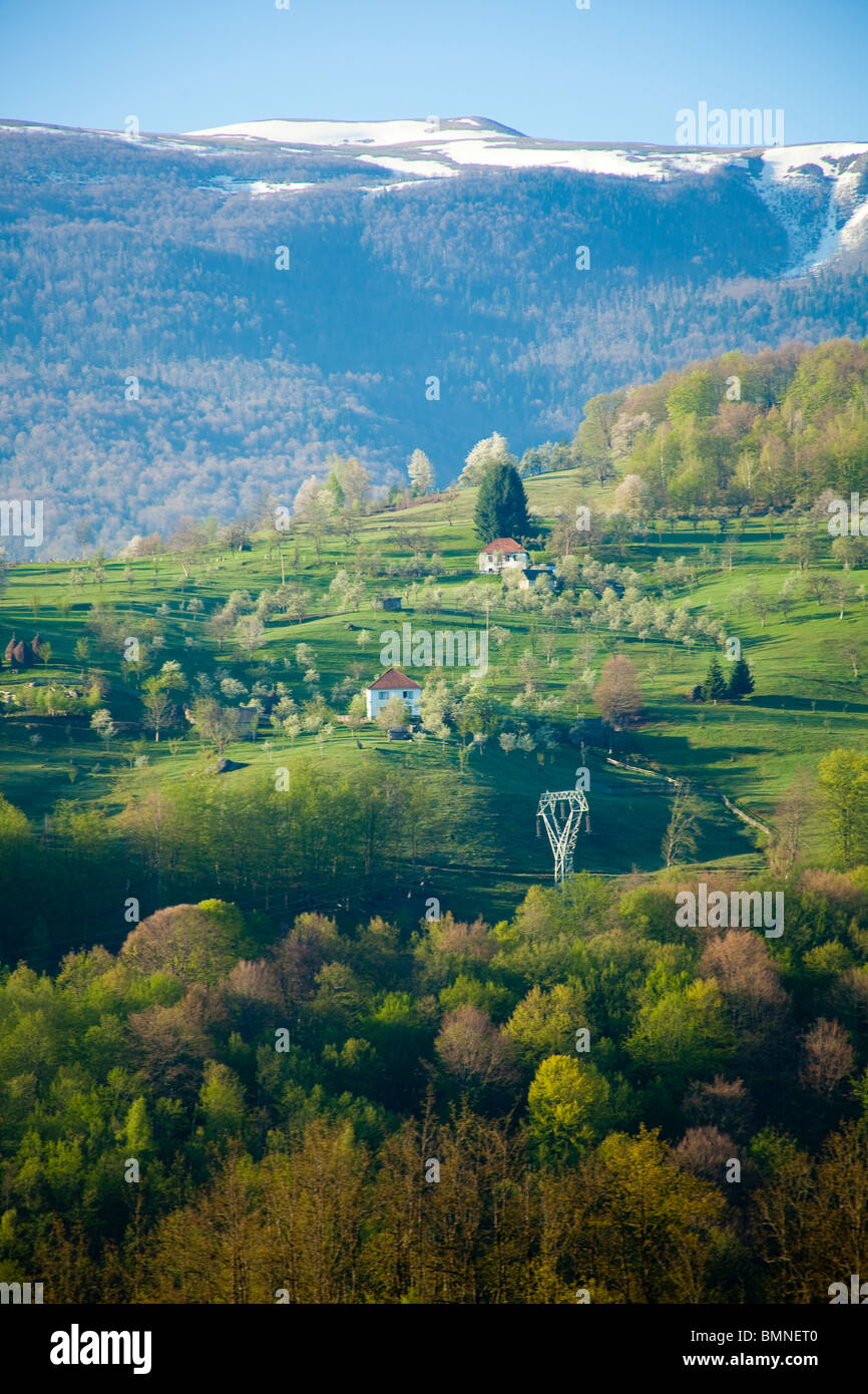 Montenegro Spring Landscape Stock Photo - Alamy