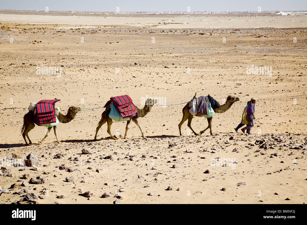 White desert. Sahara desert. Egypt Stock Photo - Alamy