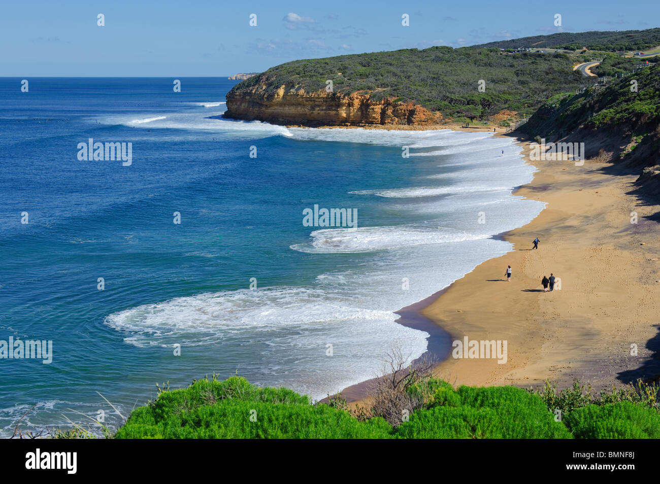 Can You Take Dogs To Bells Beach