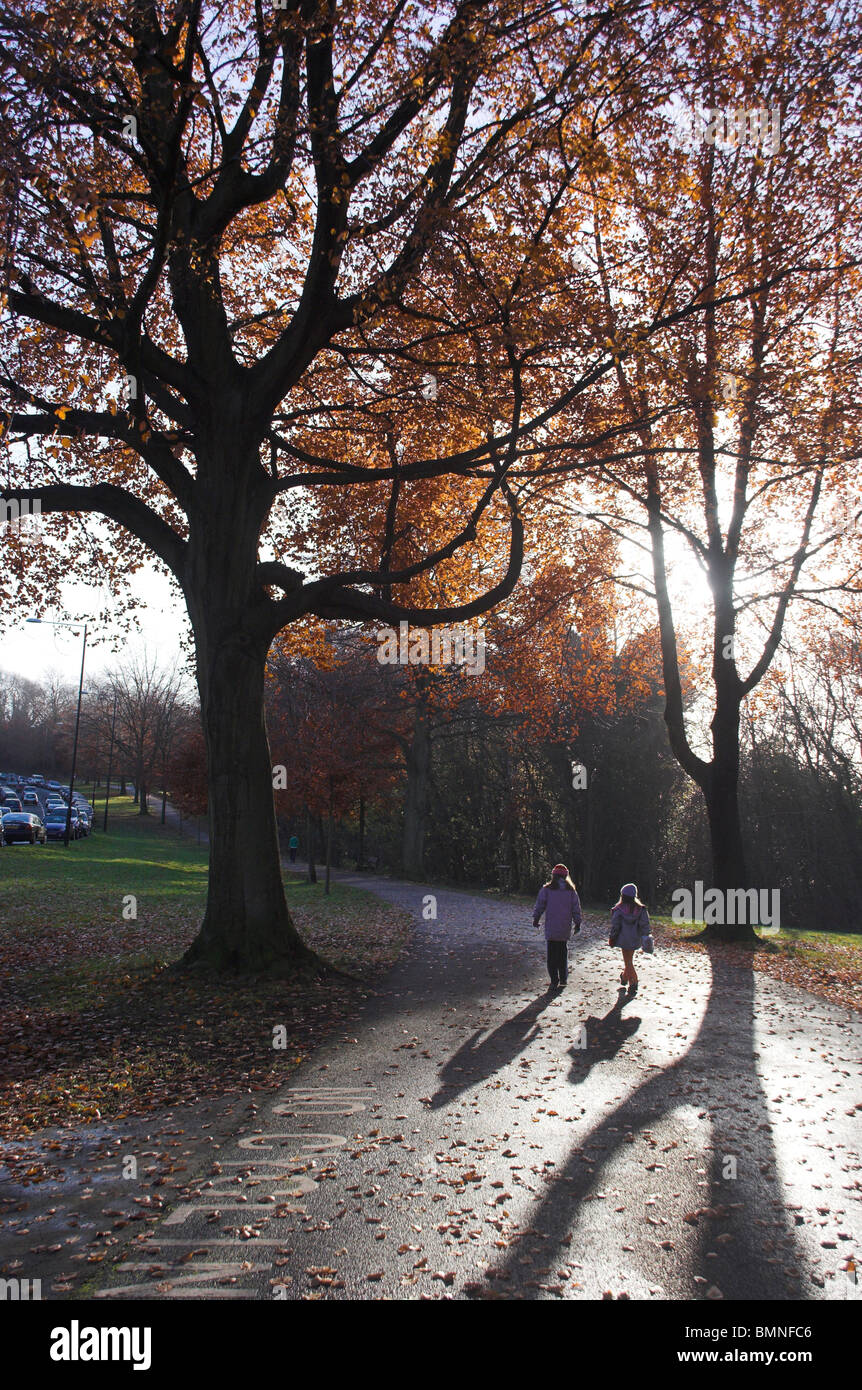 Bristol, Clifton Downs, Autumn Stock Photo - Alamy