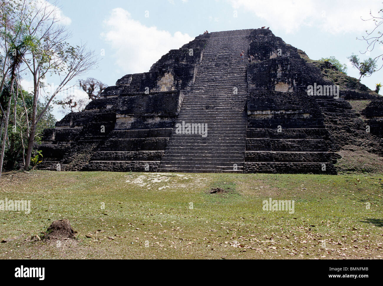 Pyramid in UNESCO World Heritage archaeological site of Tikal- Tikal ...