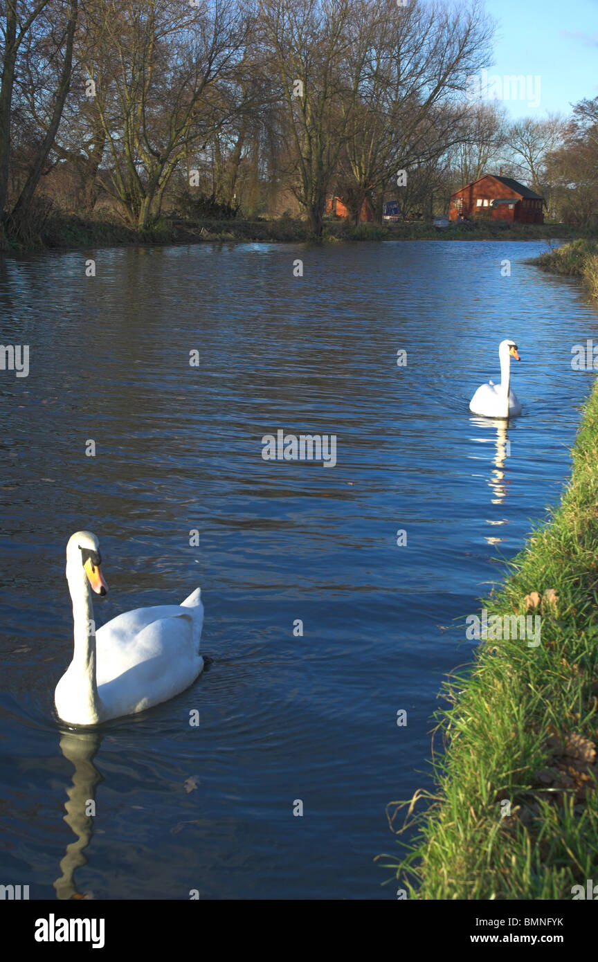 Surrey, River Wey Navigation Near Send Stock Photo - Alamy
