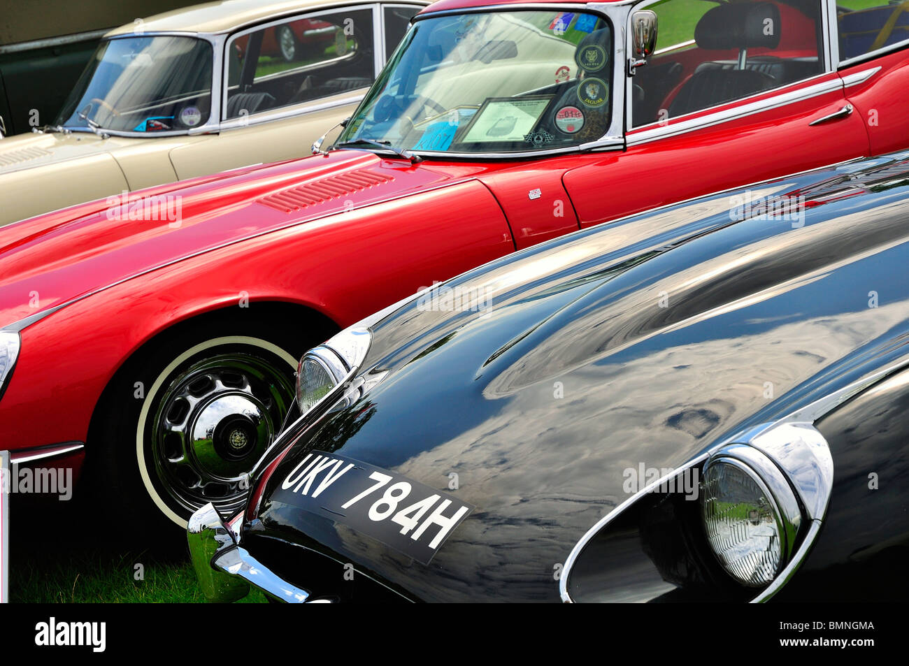 Jaguar E-type cars at Classic Car Show in Luton 2010 Stock Photo - Alamy
