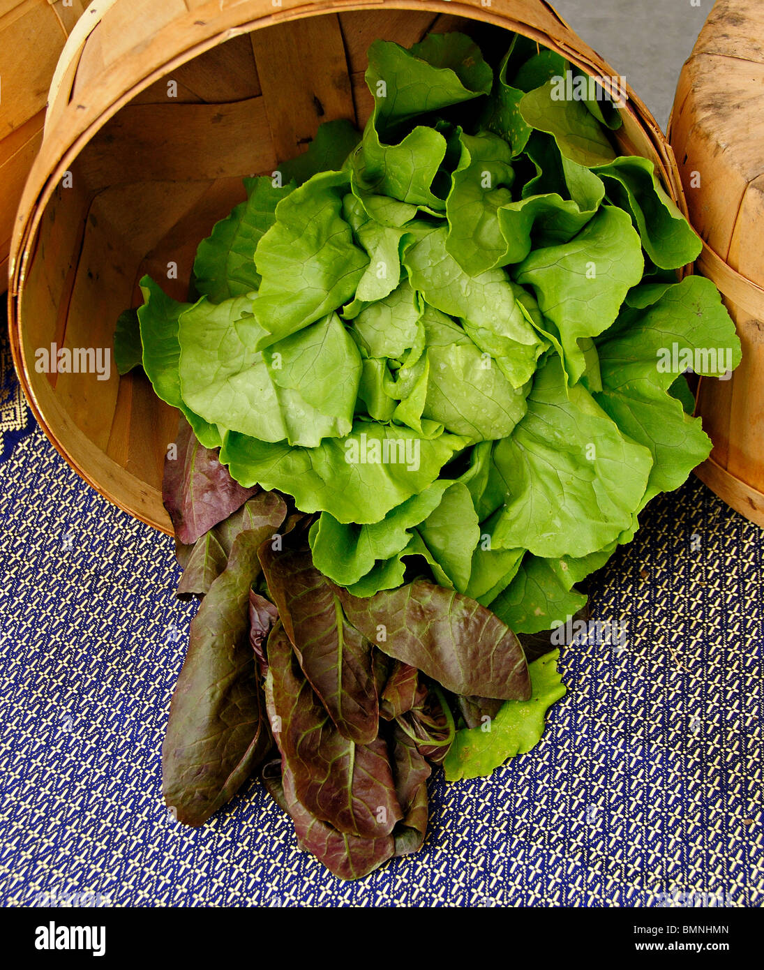 Types Of Red Lettuce