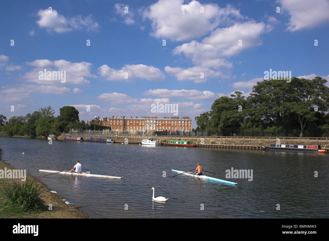 Thames rowing at hampton court hi-res stock photography and images - Alamy