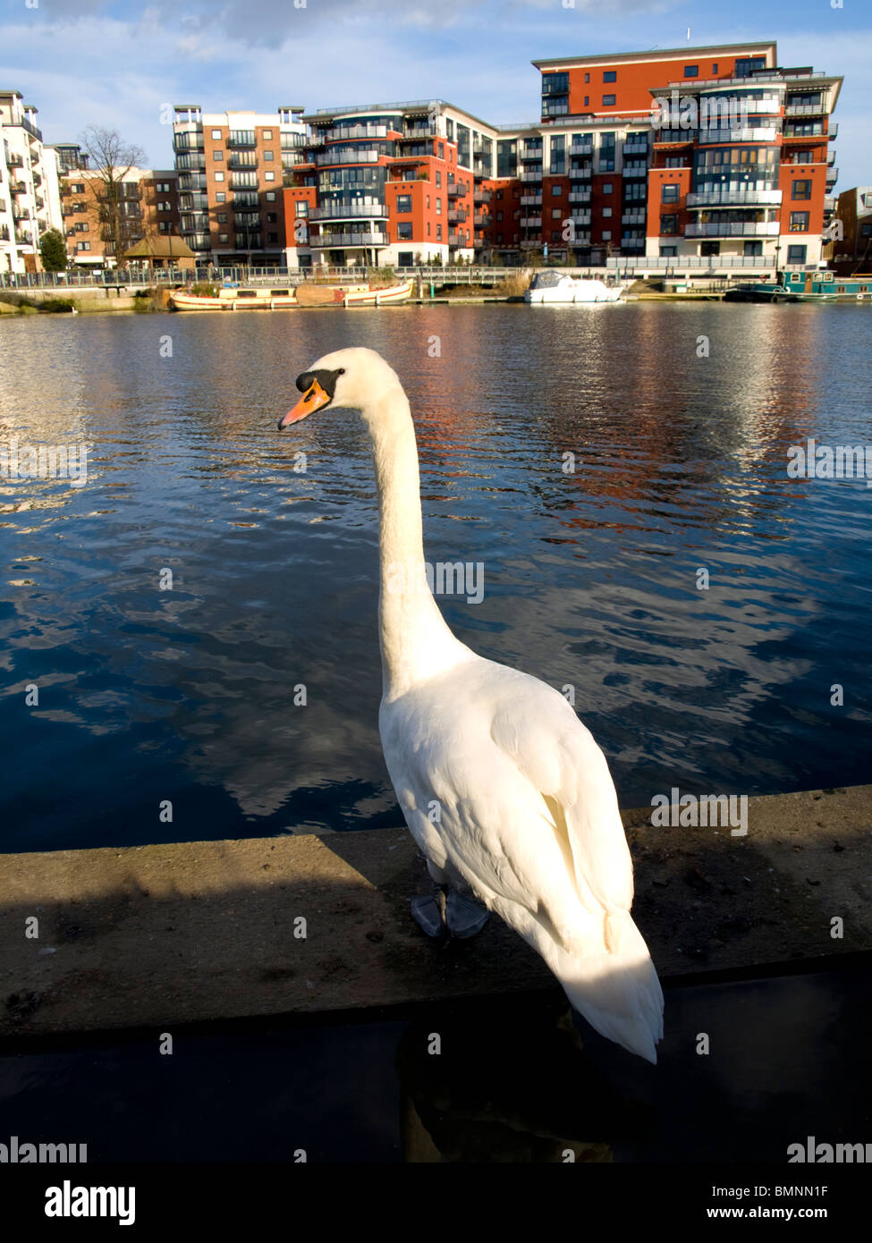 Kingston london riverside hi-res stock photography and images - Alamy