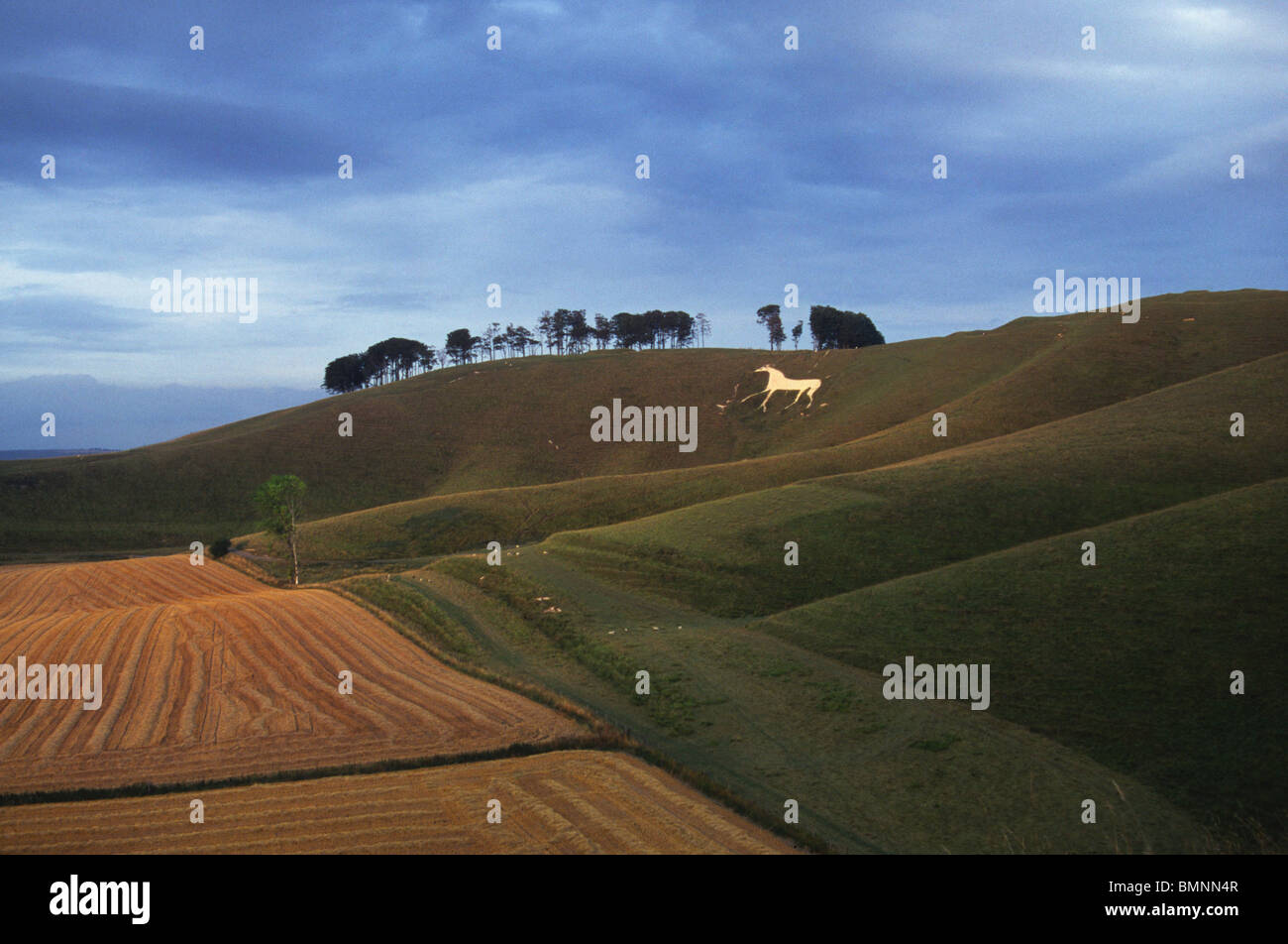 Cherhill hi-res stock photography and images - Alamy