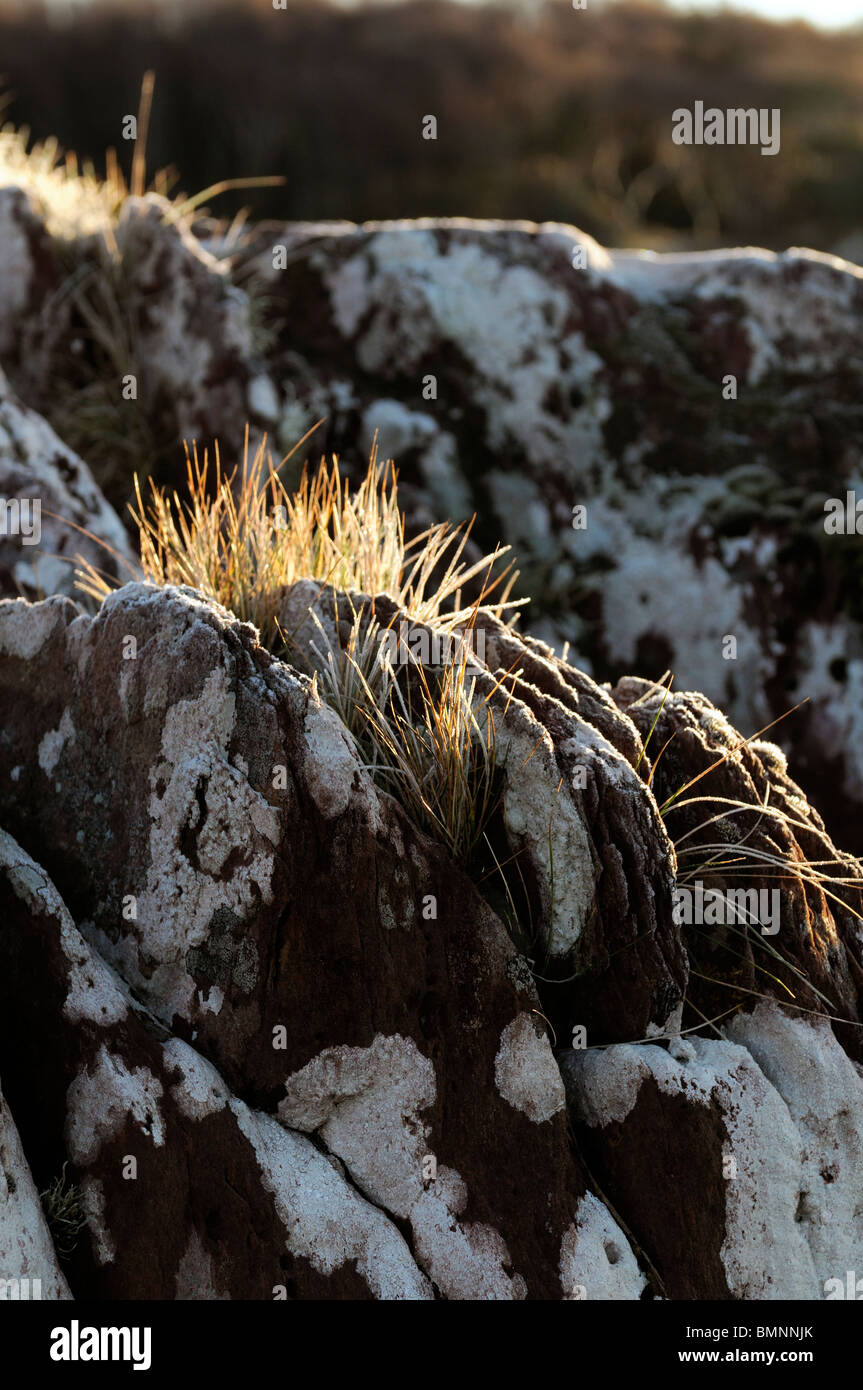 Roughty River High Resolution Stock Photography and Images - Alamy