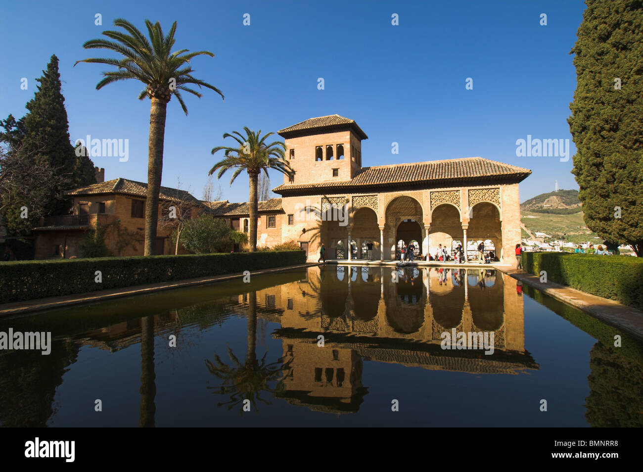 Damas damas hi-res stock photography and images - Alamy