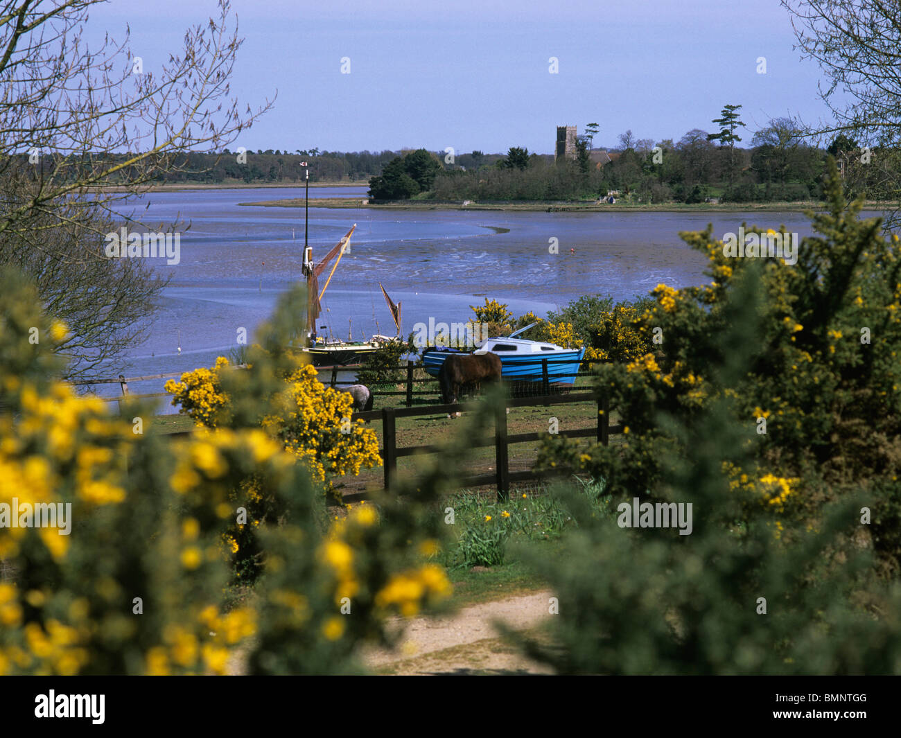 Eastwards across the tidal mud flats of The River Alde Stock Photo - Alamy