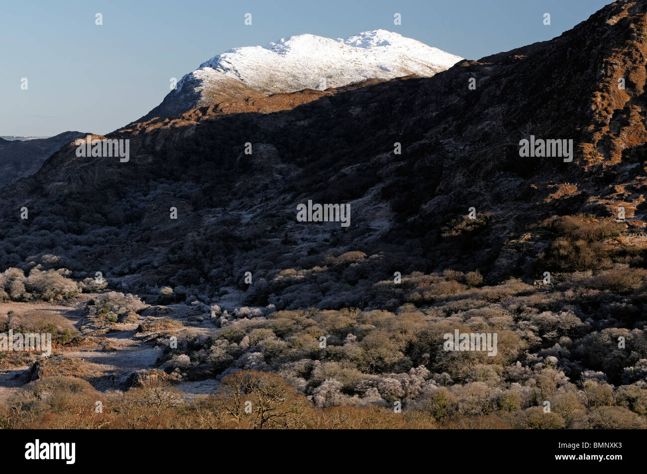 Ladies view kerry hi-res stock photography and images - Alamy