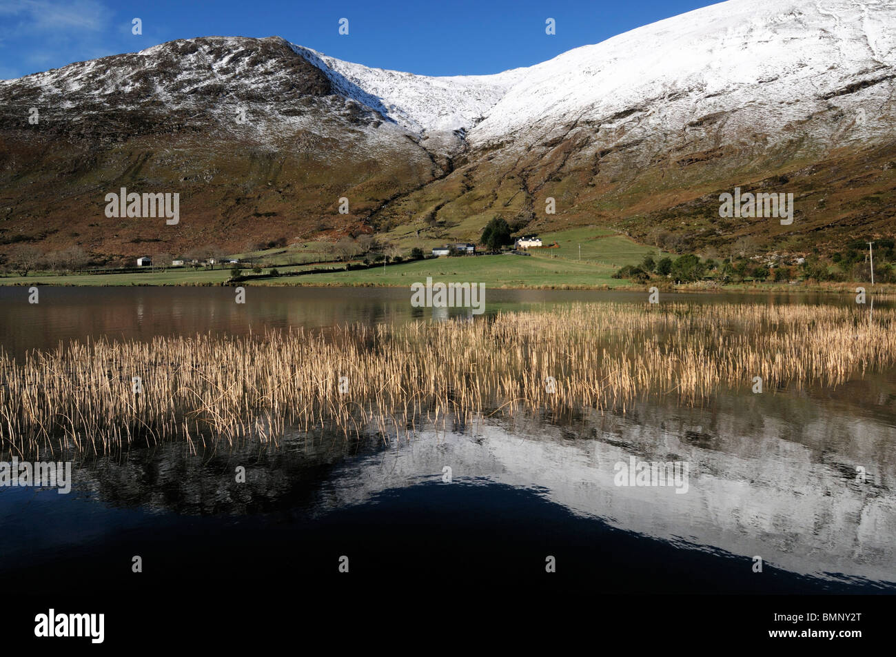 Lough lake brinn brin black valley killarney kerry snow cover covered ...