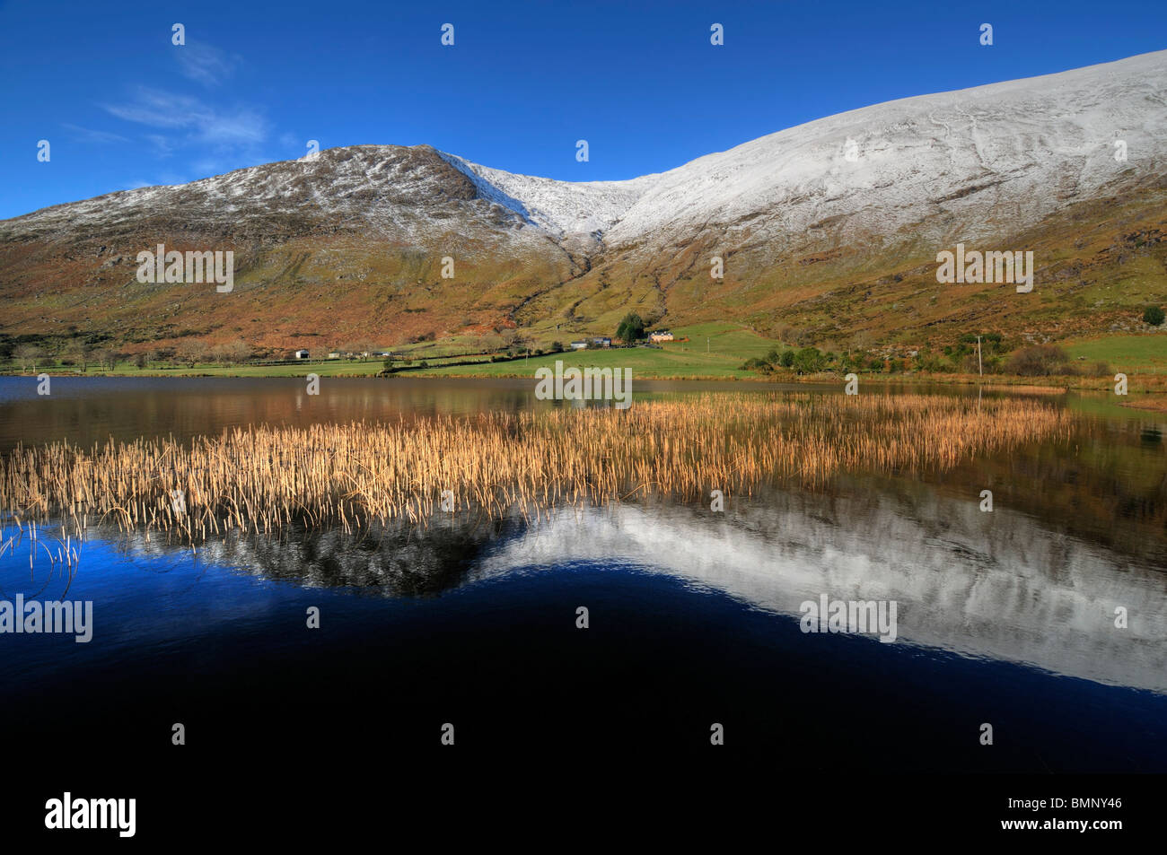 Lough lake brinn brin black valley killarney kerry snow cover covered ...