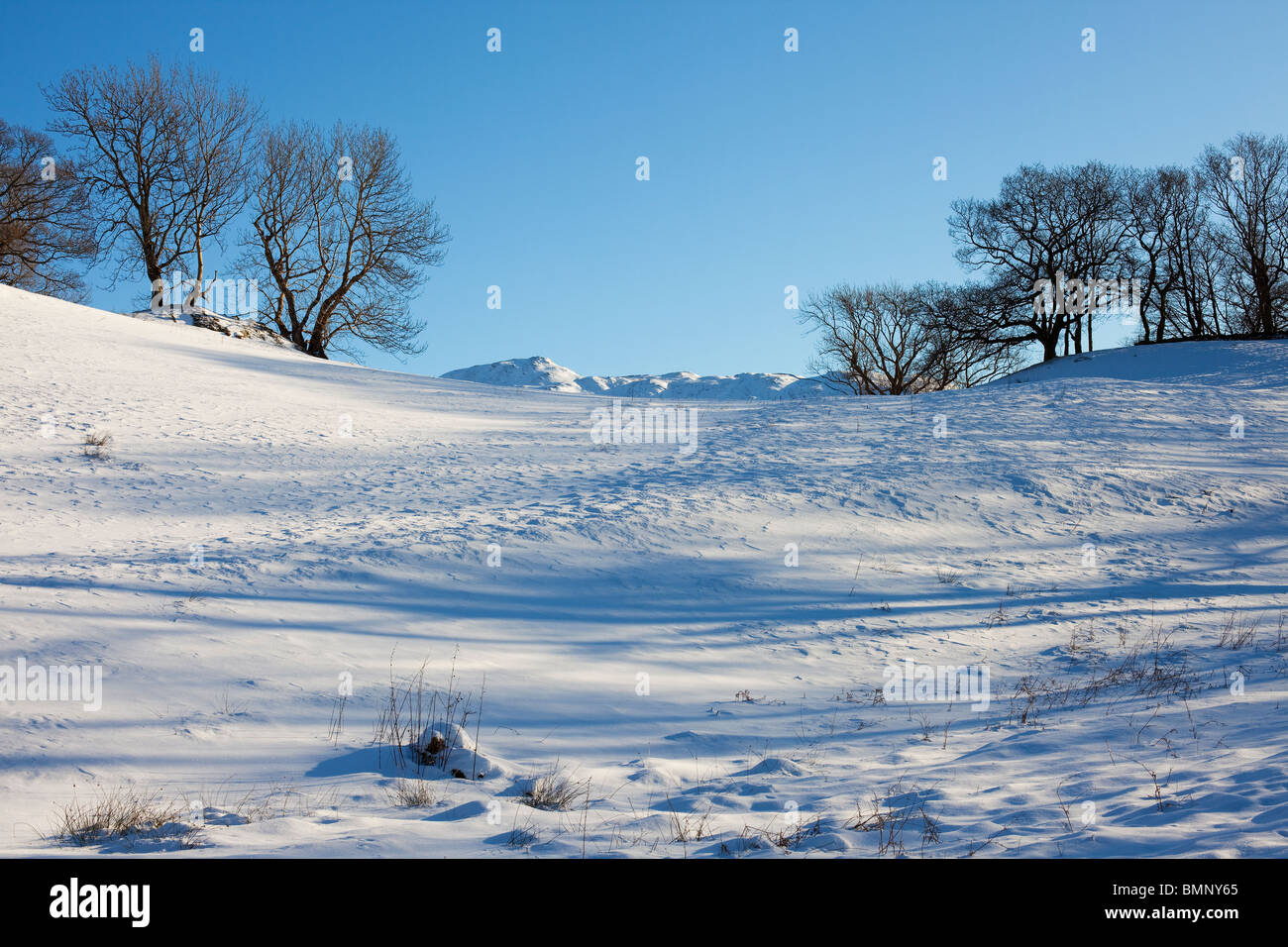 The summit of Wansfell peaks over the top of the frozen field on the ...