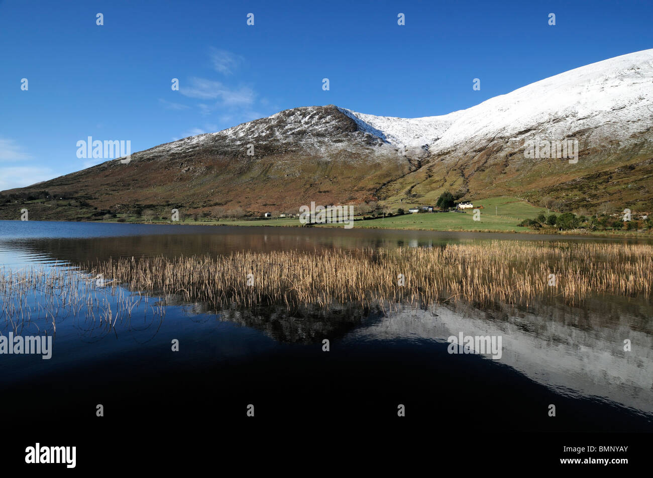 Lough lake brinn brin black valley killarney kerry snow cover covered ...