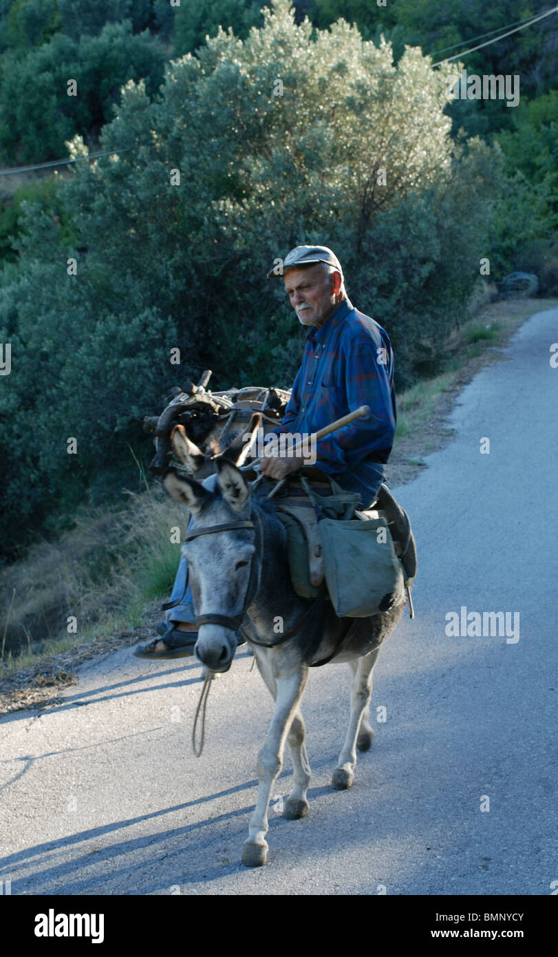Donkey man hi-res stock photography and images - Alamy
