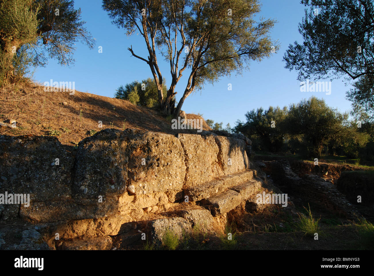 History of sparta hi-res stock photography and images - Alamy