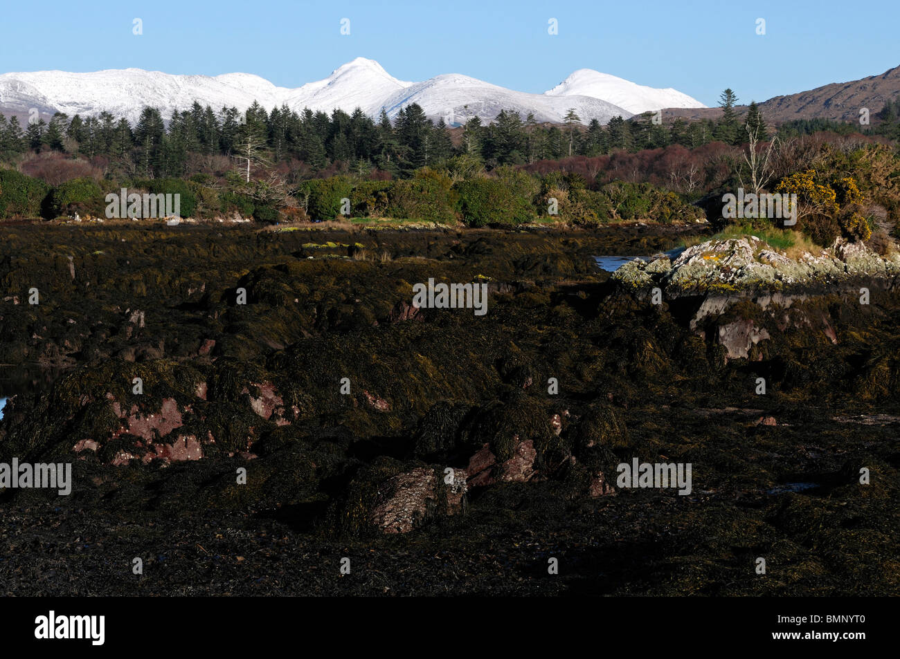 Parnasilla hi-res stock photography and images - Alamy