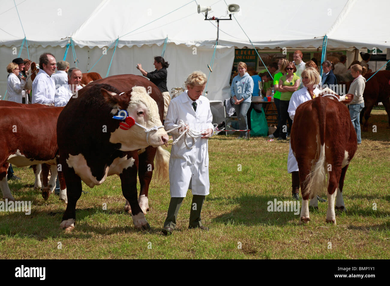 Farnley tyas hi-res stock photography and images - Alamy