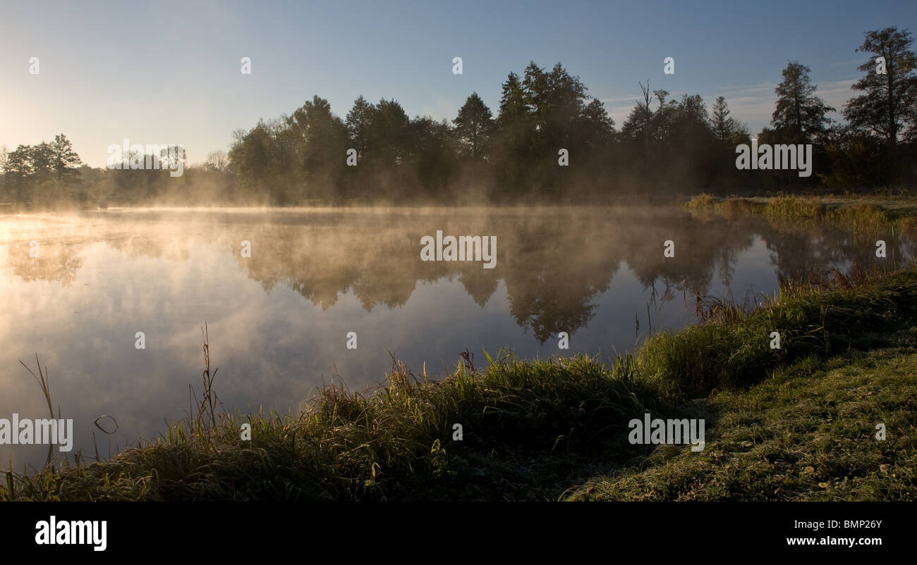 Early morning fog over calm water of pond Stock Photo - Alamy