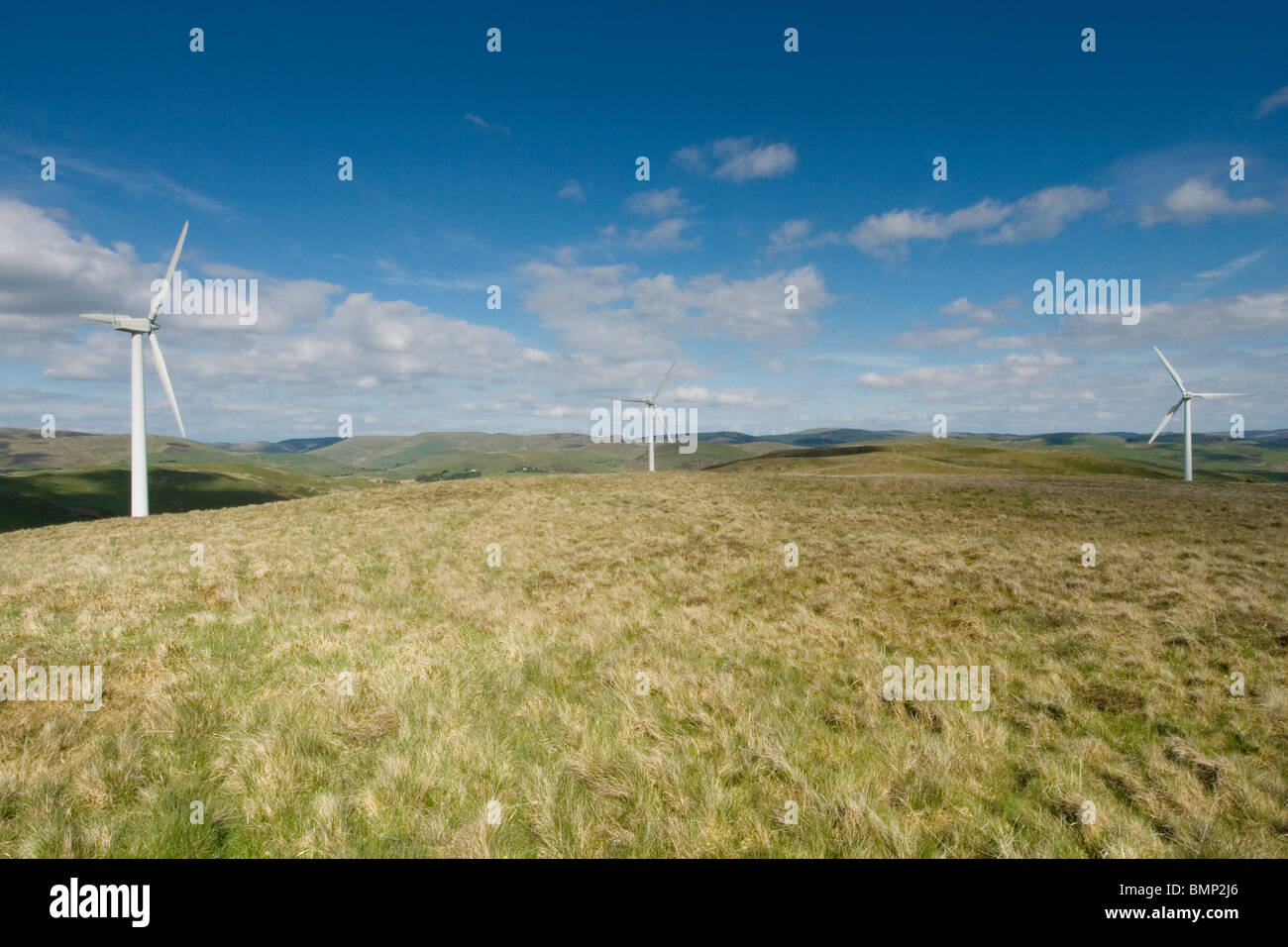 Welsh nature hi-res stock photography and images - Alamy
