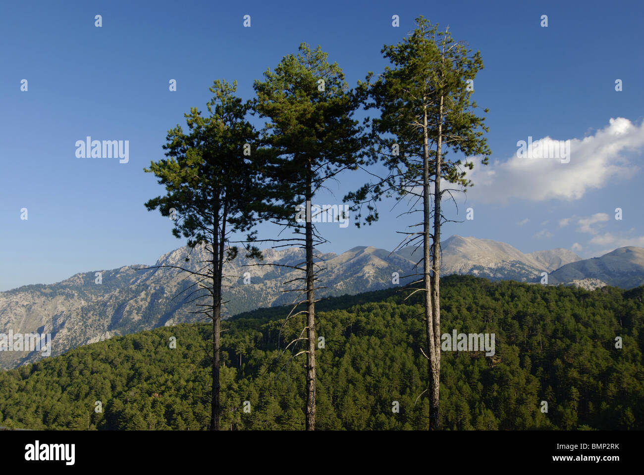 Taygetos mountains hi-res stock photography and images - Alamy
