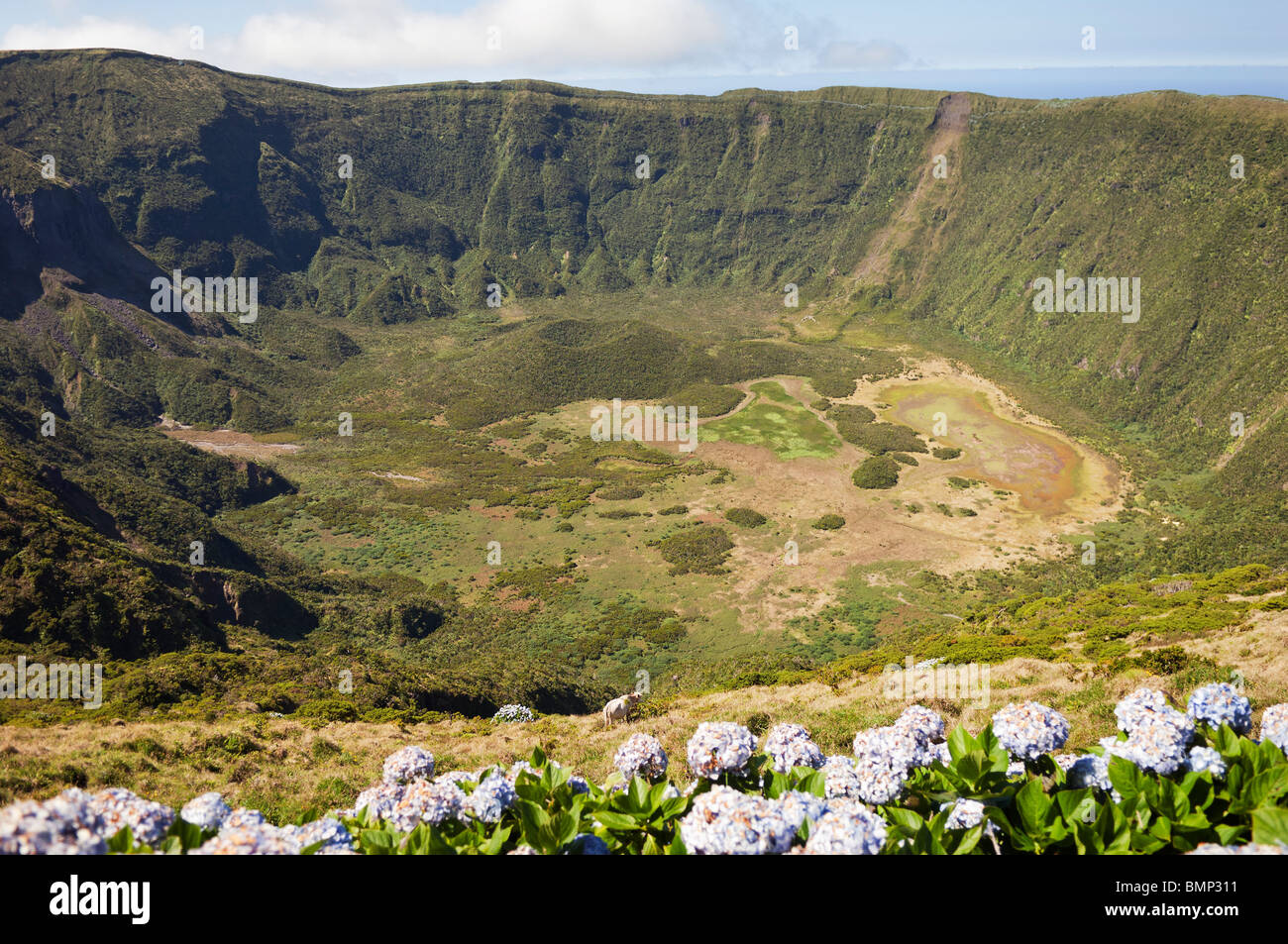 Inside of Caldeira extinct volcano in Faial island, Azores, Portugal ...