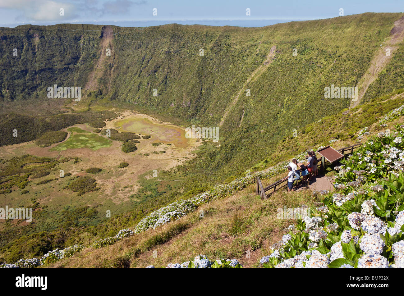 Tourists admiring Caldeira extinct volcano in Faial island, Azores ...
