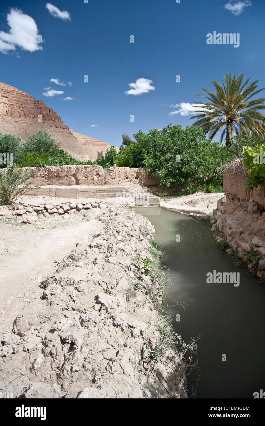 Oasis in morocco hi-res stock photography and images - Alamy