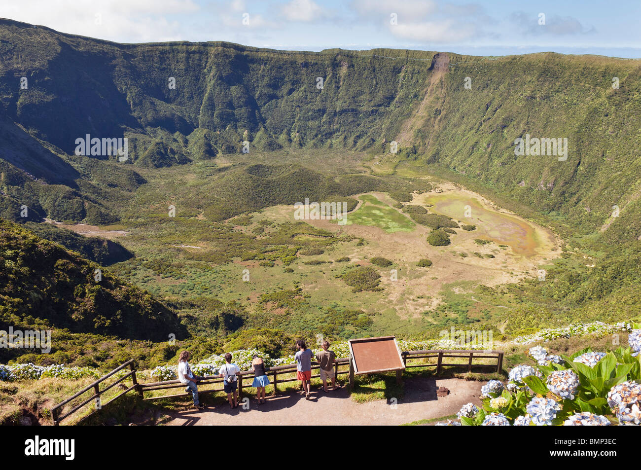 Tourists admiring Caldeira extinct volcano in Faial island, Azores ...