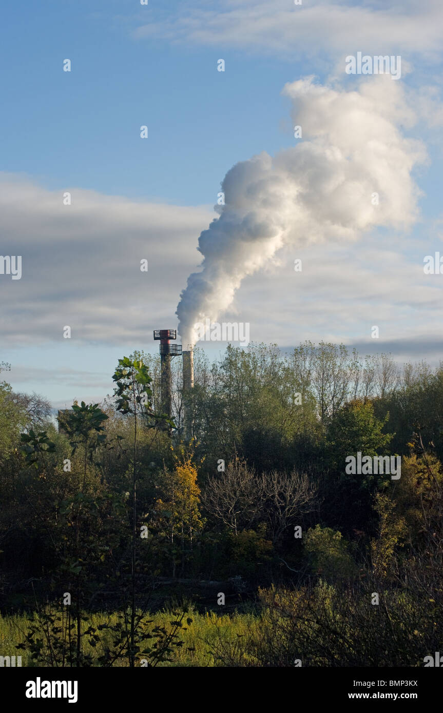Egger chipboard factory hexham hi-res stock photography and images - Alamy