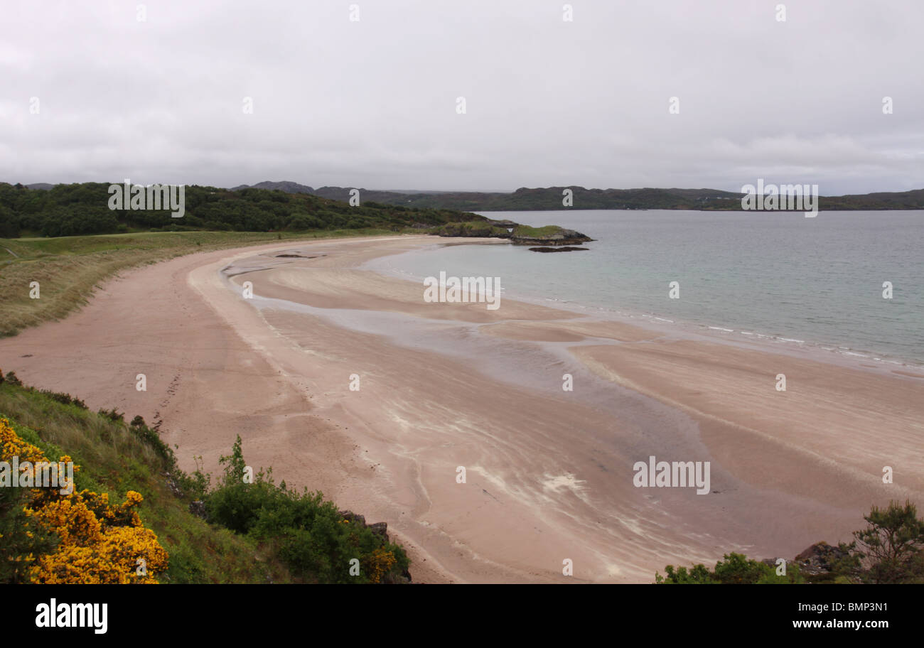 Gaineamh mhor hi-res stock photography and images - Alamy