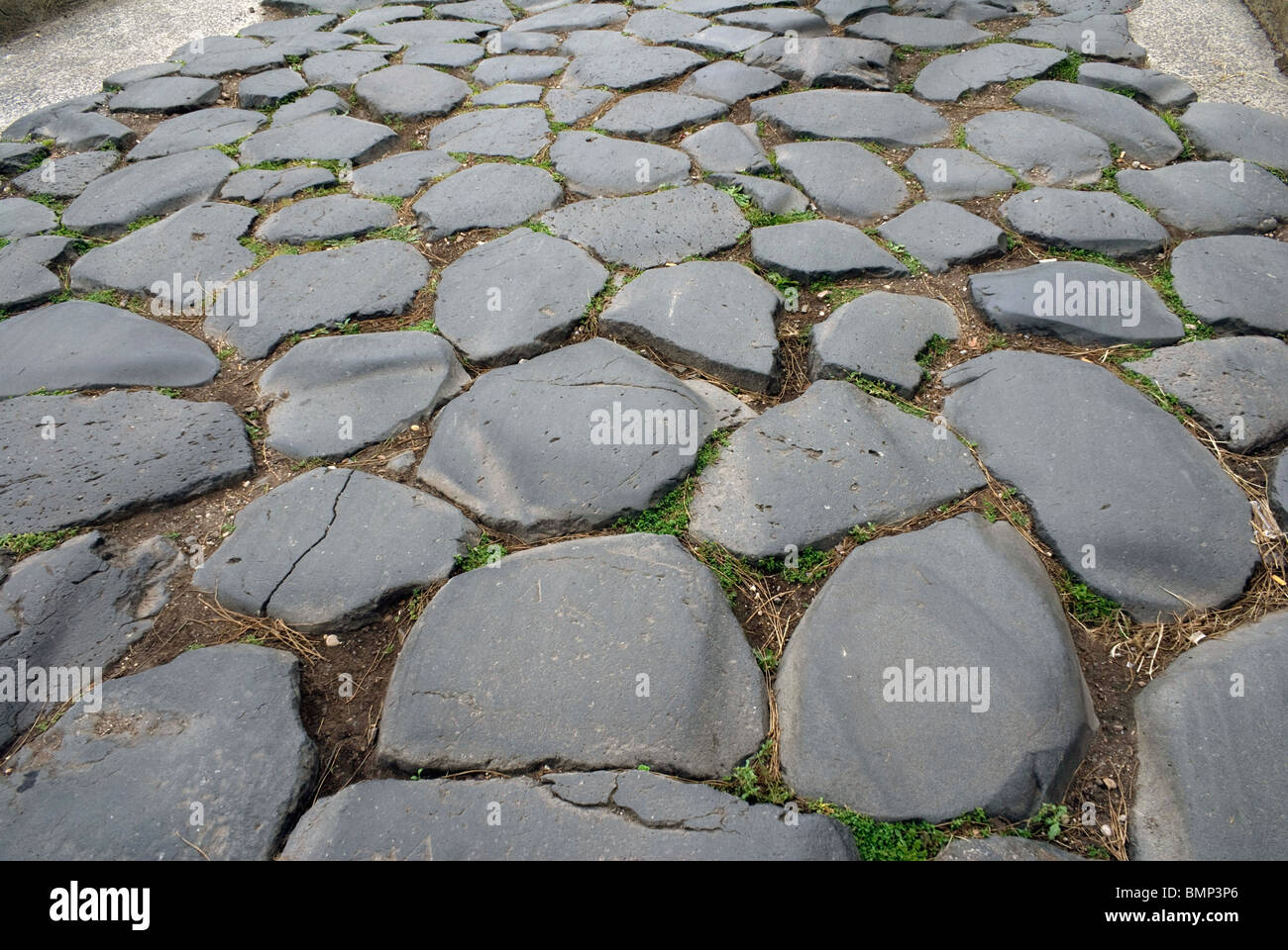 A section of paved Roman road near the Forum in Rome, Italy Stock Photo ...