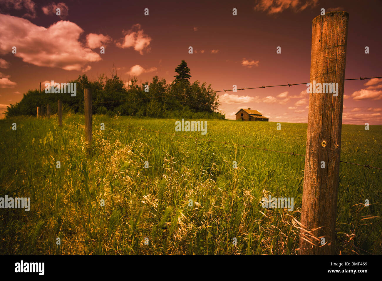 Old agricultural fence post hi-res stock photography and images - Alamy